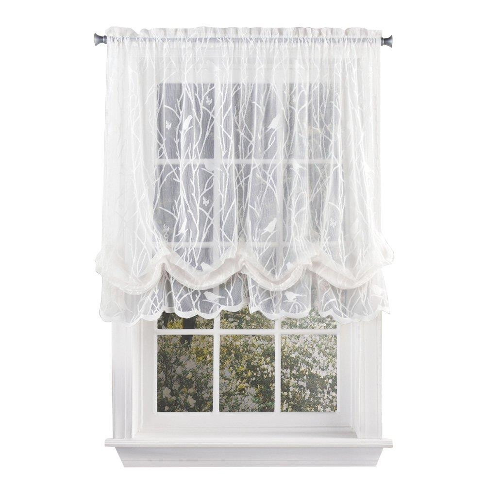 Songbird Lace Balloon Shade by Lorraine | Paul's Home Fashions