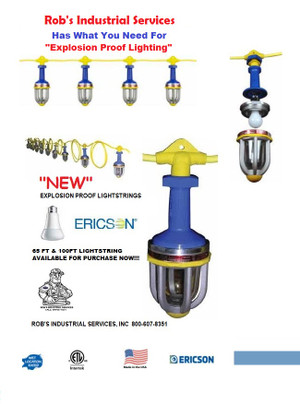123100LEDXPI-1 Ericson 65FT 2600 SeriesLED Explosion Proof String Lights