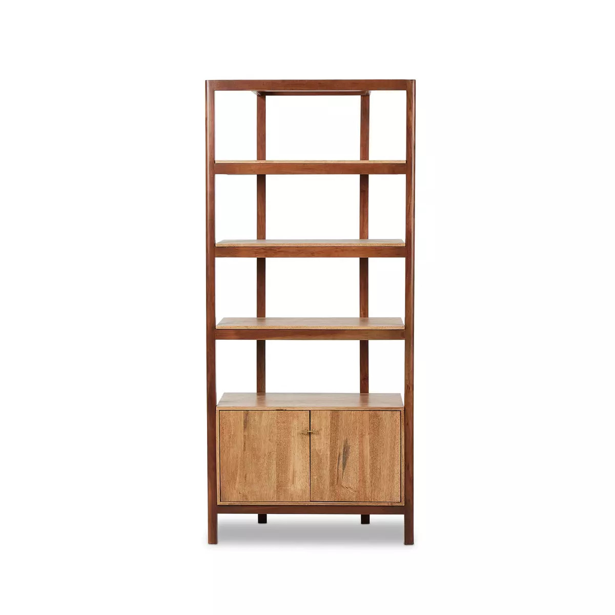 Four Hands Reza Bookcase