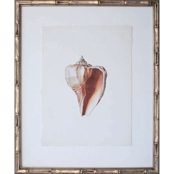 Mirror Home Vintage Shell II