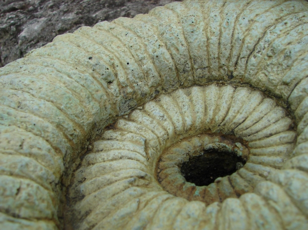 How to Create a Spiral Garden - Dealzer Hydroponics