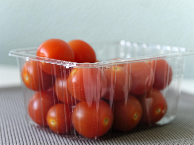 How to Use Seed Trays - Dealzer Hydroponics