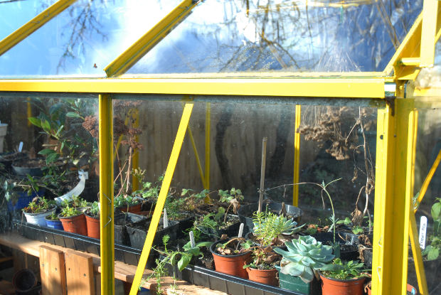 How to Clean your Dealzer GrowBox - Dealzer Hydroponics
