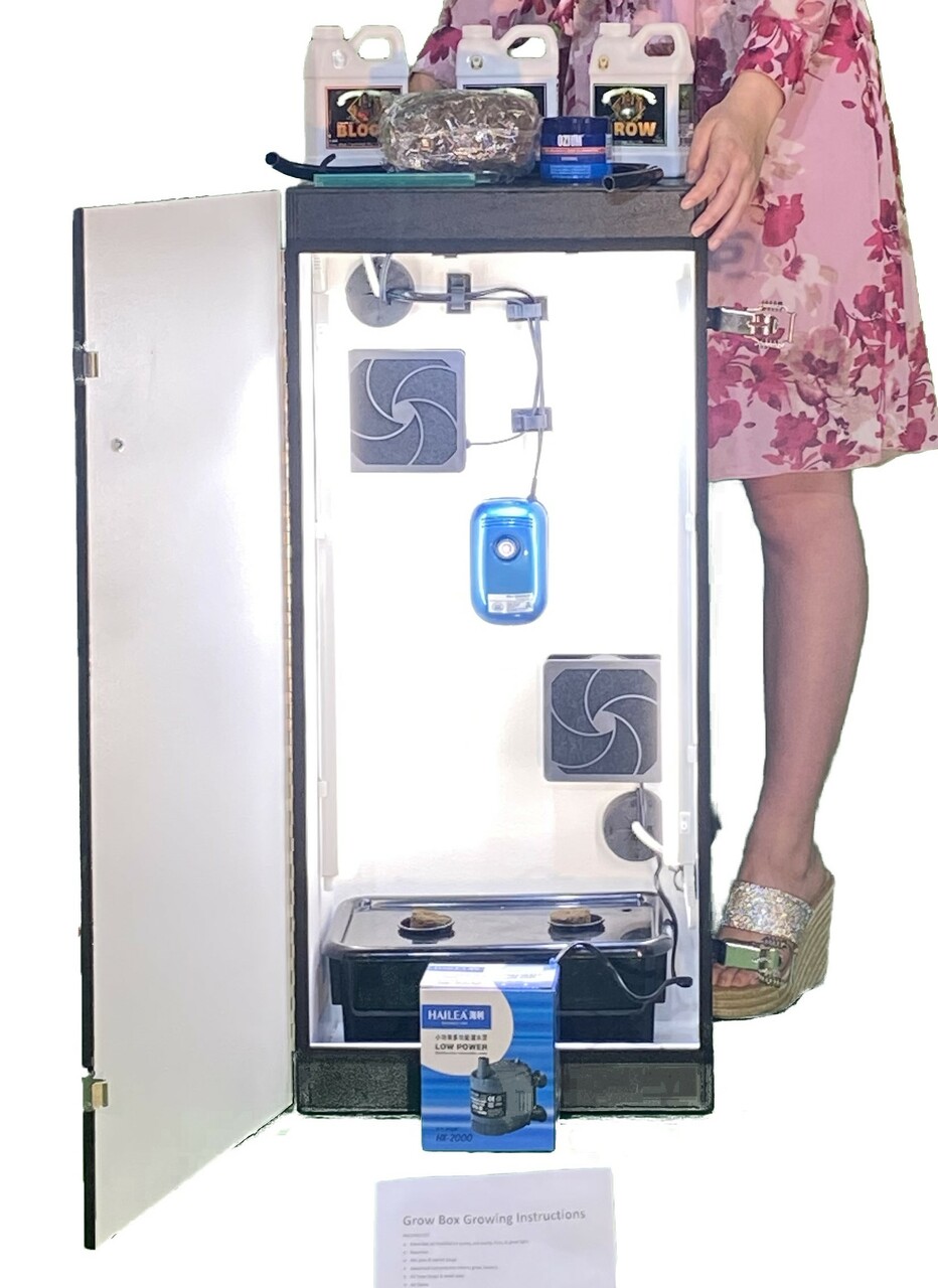 Top 5 Best Hydroponics Grow Box Systems in 2023 - Dealzer Hydroponics