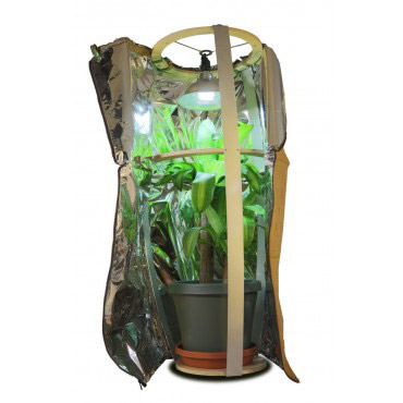 A Full Range of Plant Support Systems - Dealzer Hydroponics