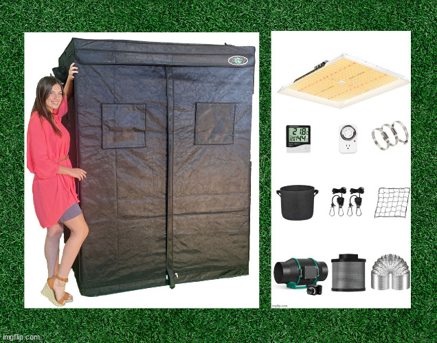 The Benefits of Owning a Galaxy Grow Tent - Dealzer Hydroponics