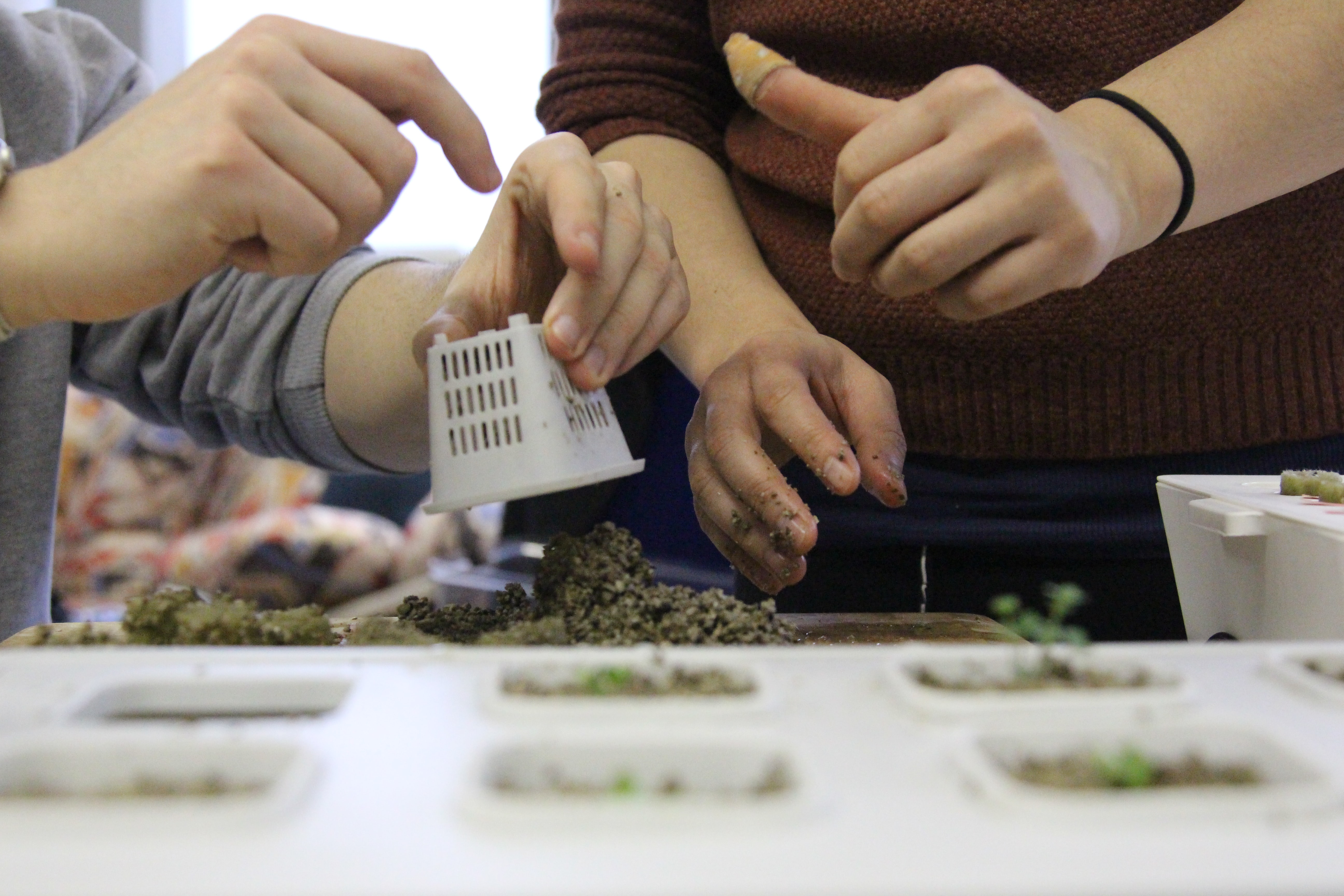 THE GOODS YOU NEED TO SETUP A HYDROPONIC SYSTEM - Dealzer Hydroponics
