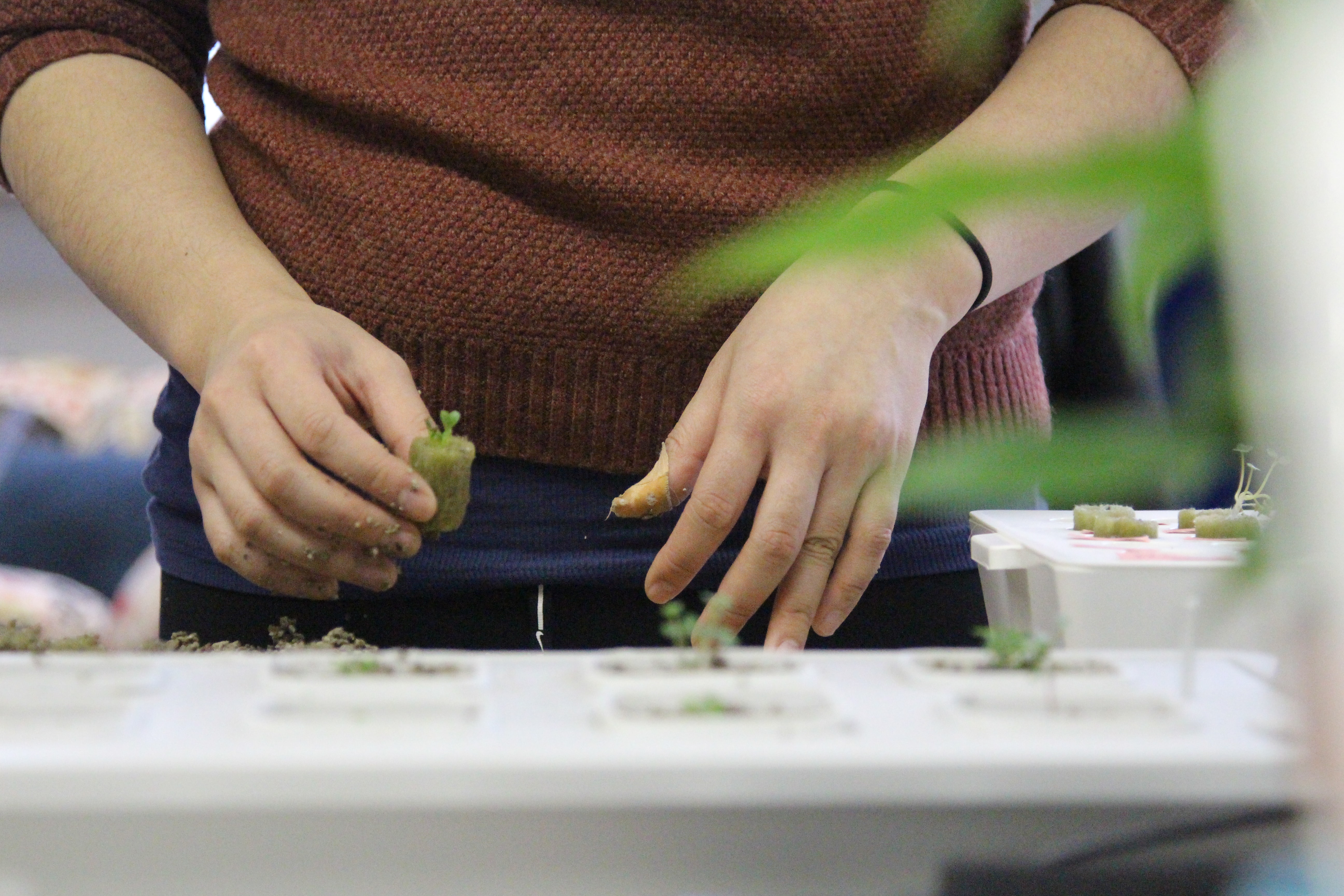 THE GOODS YOU NEED TO SETUP A HYDROPONIC SYSTEM - Dealzer Hydroponics