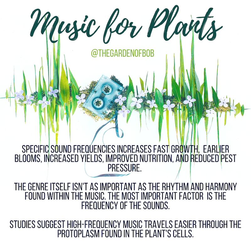 The Harmonious Symphony: Exploring the Benefits of Classical, Jazz, and ...