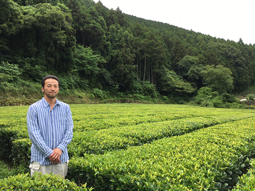 Visiting OTA TEA! - Ureshino, Saga - Tokyo Matcha Selection