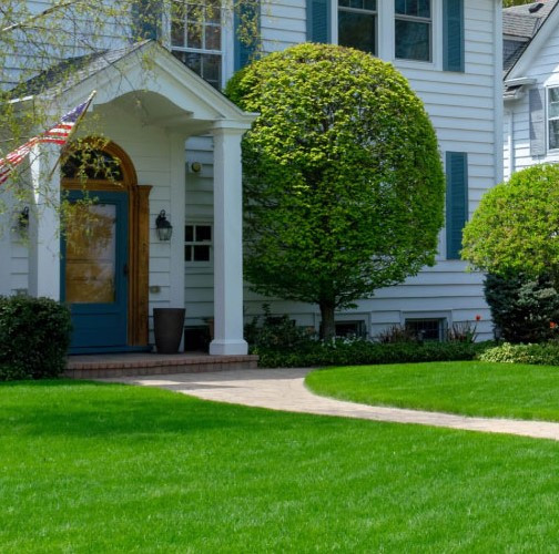 Barenbrug Water Saver RTF