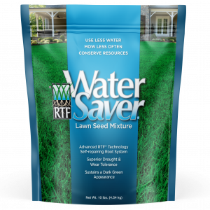 Barenbrug Water Saver RTF