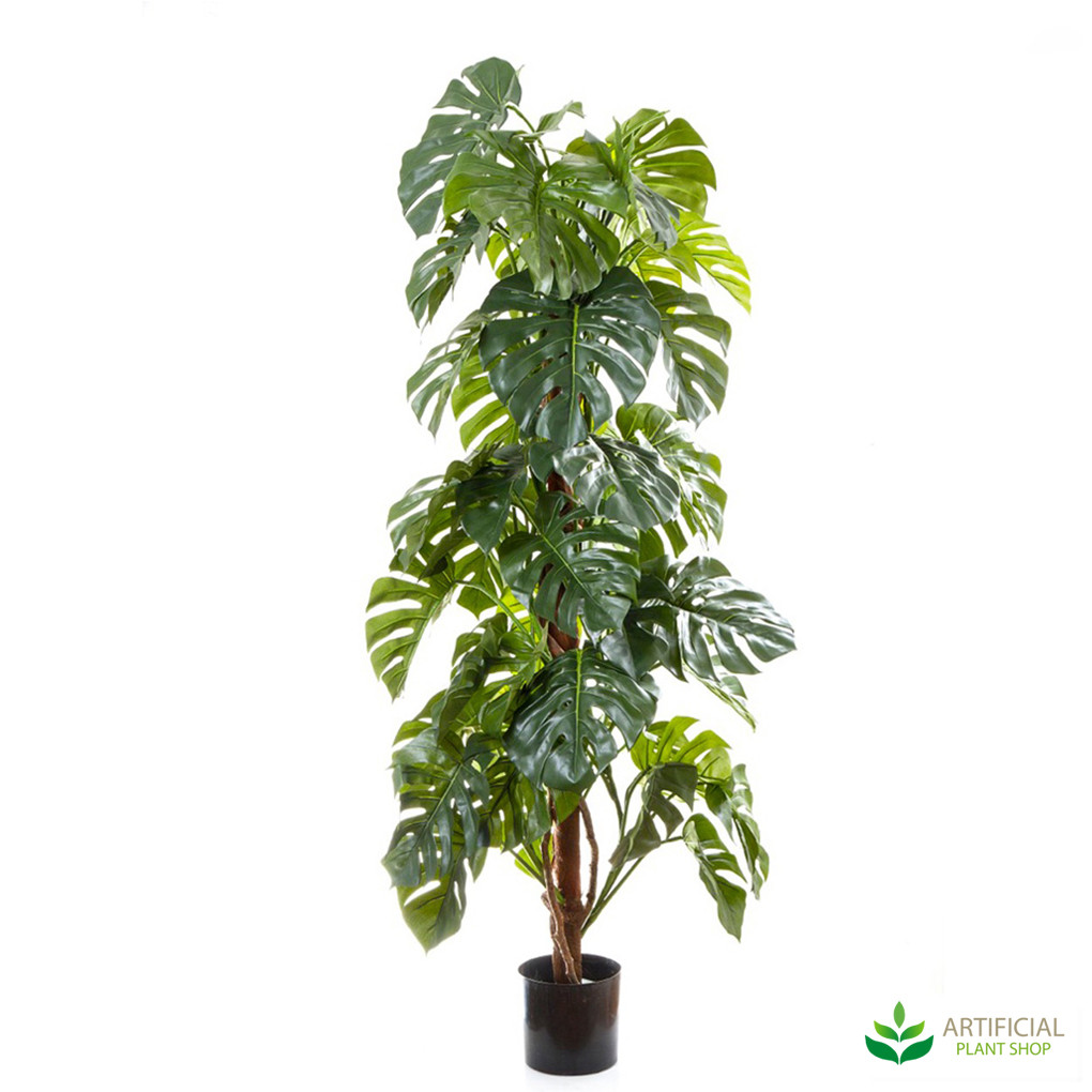 Artificial Split Philo - Large 1.8m