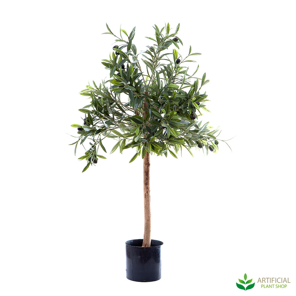 Mini Olive Tree 70cm