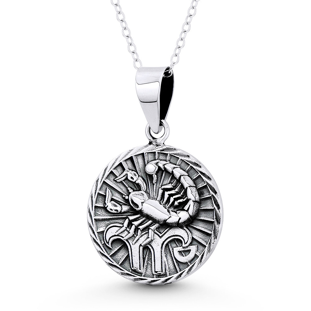 Scorpio Zodiac Sign Circle Astrology Charm Pendant & Chain Necklace in ...