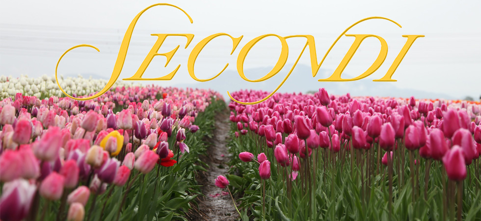 Secondi Consignment Shop in Washington, DC