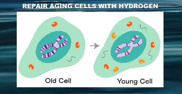 Molecular Hydrogen and Cellular Aging (Senescence) - Alkaline Water Plus