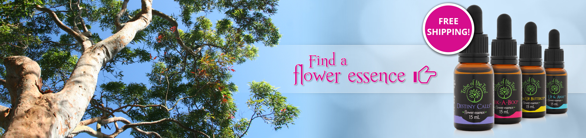 Flower Essences | Tribe of the Tree | Australian-made