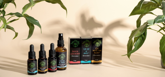 Flower essences to keep you going - Tribe of the Tree Flower Essences