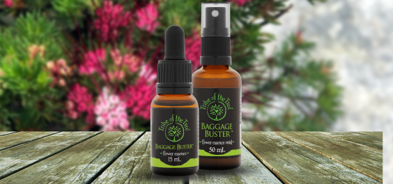 12 reasons to take flower essences - Tribe of the Tree Flower Essences