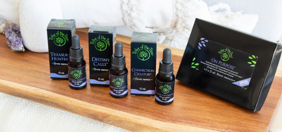 12 reasons to take flower essences - Tribe of the Tree Flower Essences