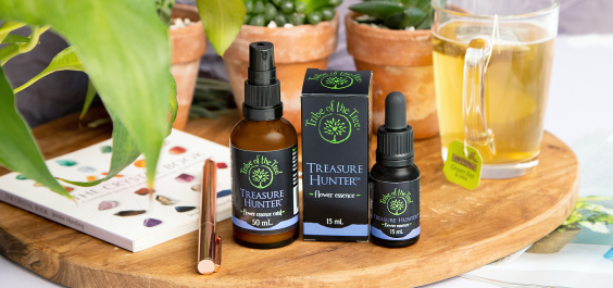 12 reasons to take flower essences - Tribe of the Tree Flower Essences