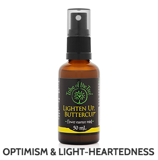 Flower Essence Mists | Lighten Up, Buttercup Mist | Positivity