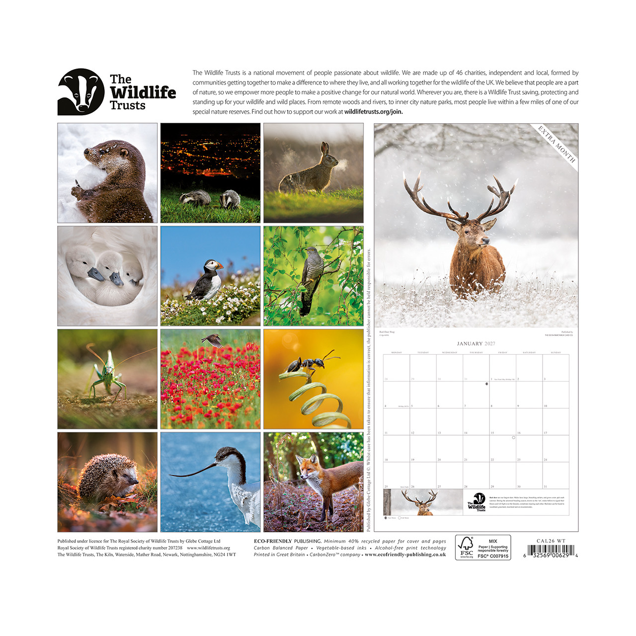 CAL26WT - The Wildlife Trusts 2026 Calendar (6 unbagged calendars ...