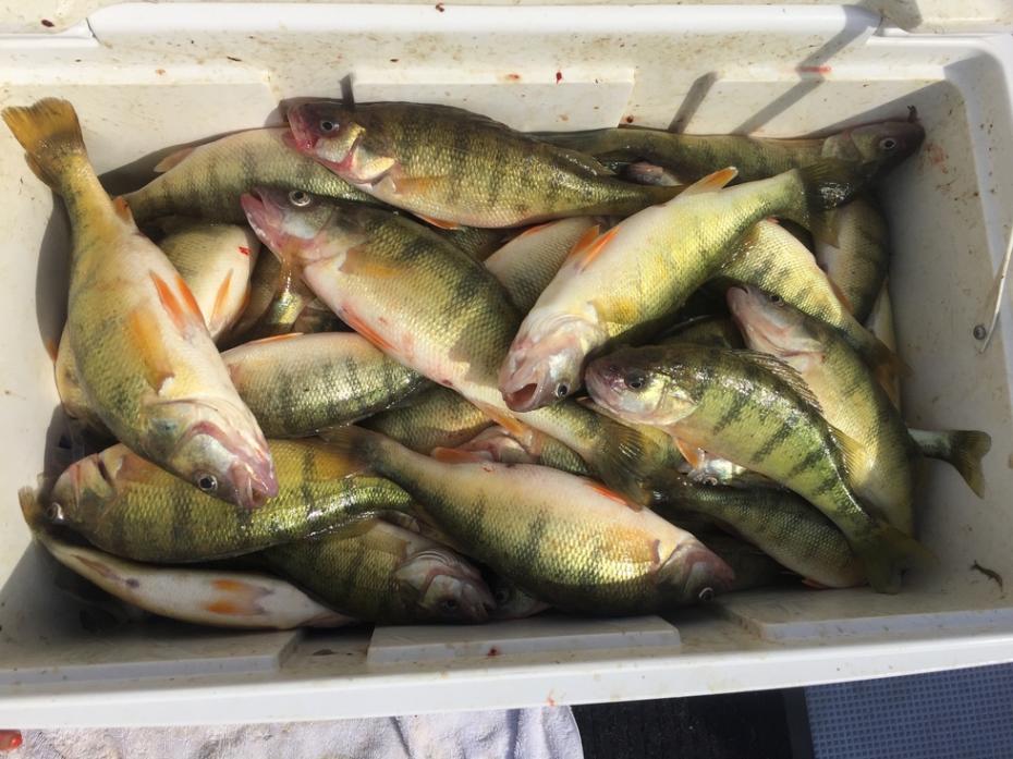 Fishing with Aaron and Tiffany Battrick 9/21/16 - Walleye Tackle Store