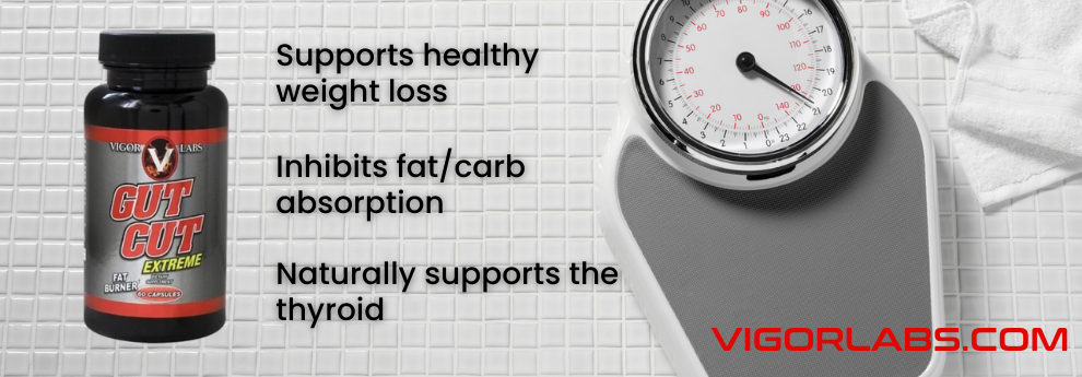 Vigor Labs Official Homepage