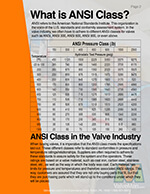 What are the Different ANSI Classes for Valves? - ValveMan.com