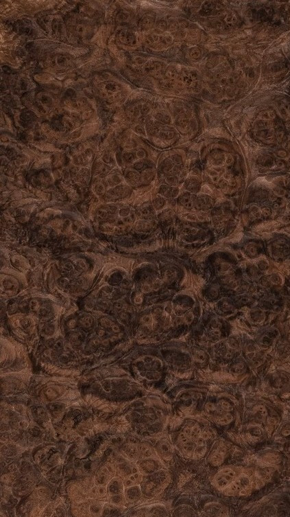 American Walnut Burl - Smith Made