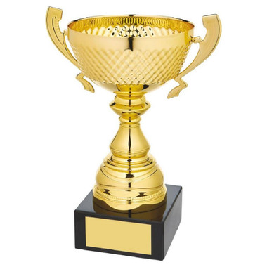 Gold Presentation Cup with Handles - 23.5cm - Bullseye Awards and ...