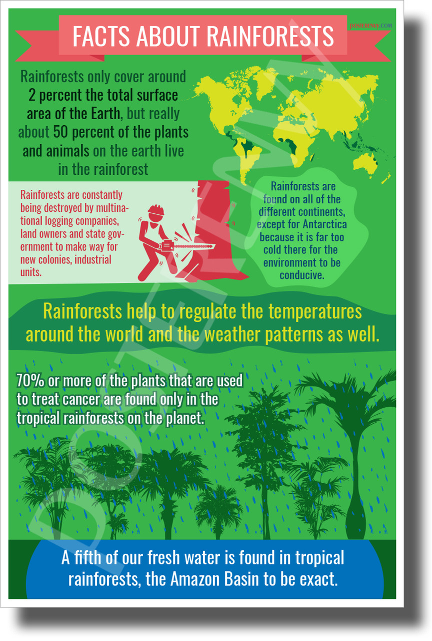 Rainforest Facts New Environmental Awareness POSTER rainforest-facts-new-environmental-awareness-poster