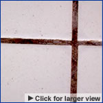 Problems Solved: Countertop Damaged Grout - Grout Getter