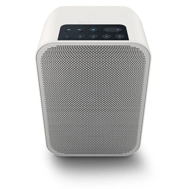 Bluesound Pulse FLEX 2i - Wireless Multi-Room Music Streaming Speaker ...