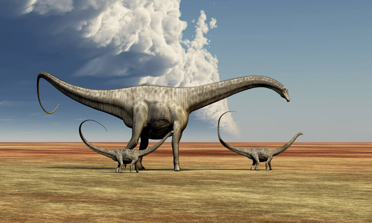 Mother Diplodocus Dinosaur Walks Along With Her Brood Of Youngstere ...