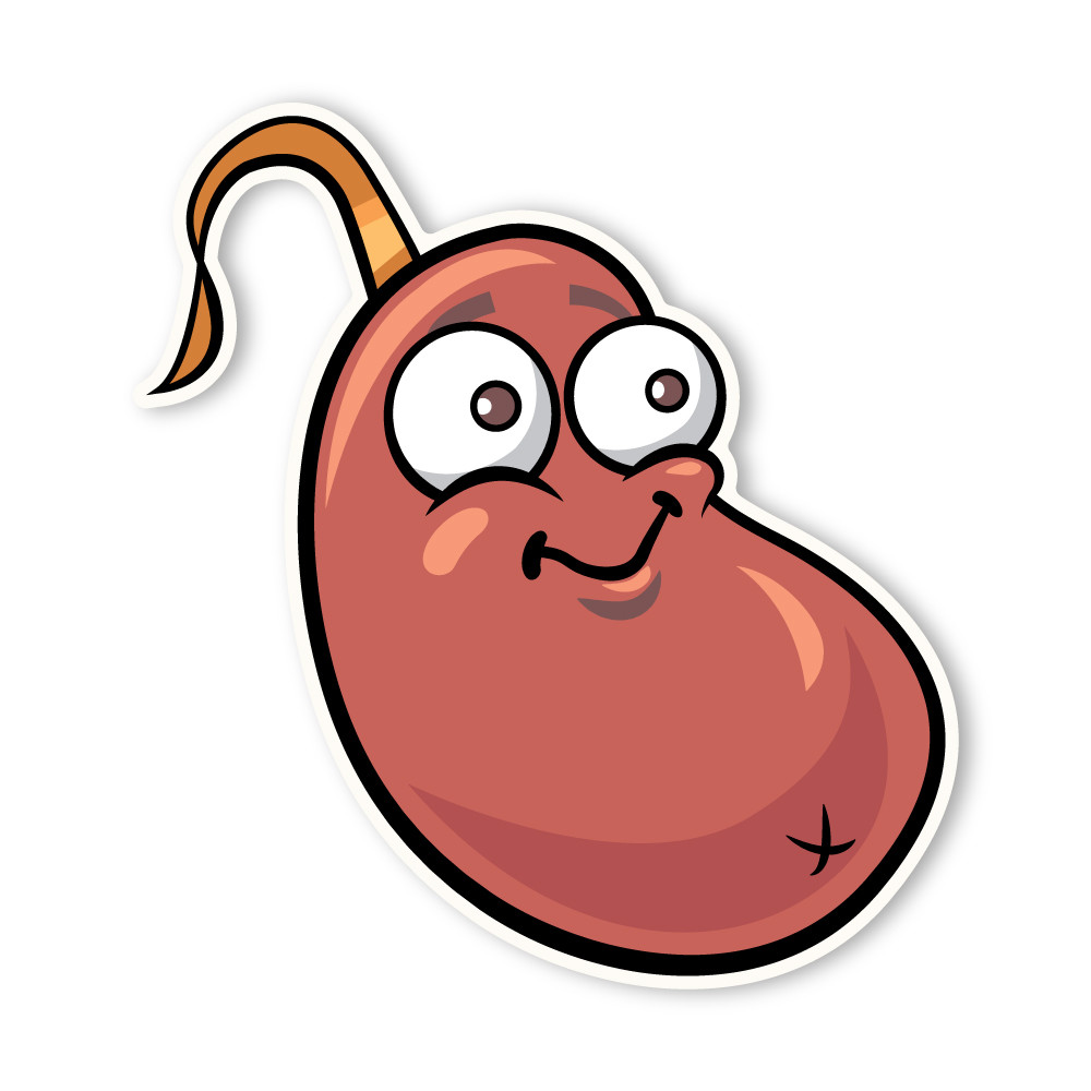 Plants Vs Zombies Journal Game Adrián Boj