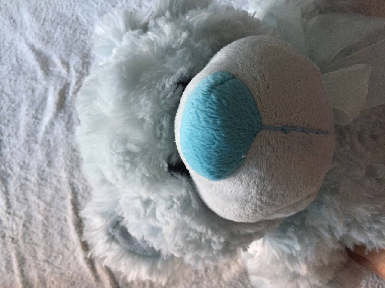 Korimco teddy bear store