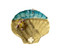 Sea Turtle Shell Ornament #14316