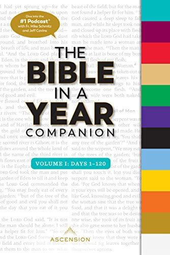 The Bible in a Year Companion Volume I by Fr. Mike Schmitz