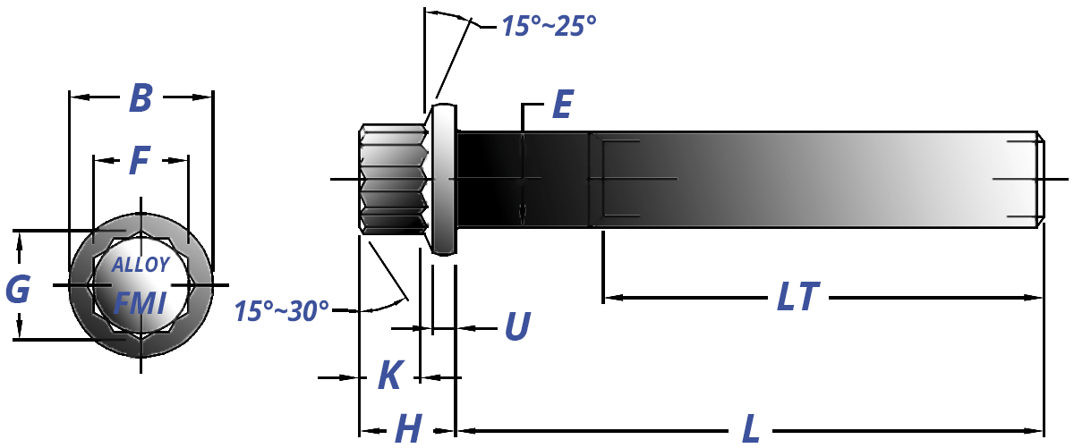 12 Point Flange Bolt Dimensions Specs AFT Fasteners