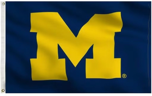University of Michigan BSI Products Premium 3x5 Flag - Block M ...