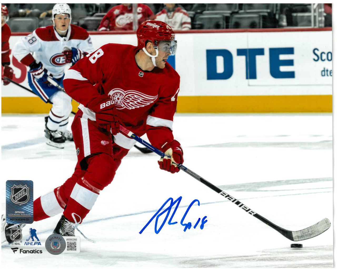 Andrew Copp Autographed Red Wings 8x10 Photo #1 - Detroit City Sports
