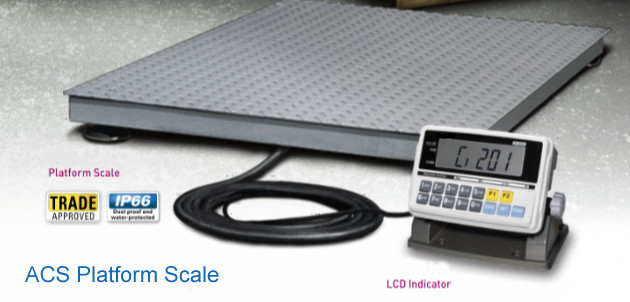 Platform Scale and Weight Indicator 3000kg x 1Kg Trade Approved