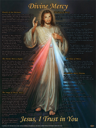 Divine Mercy Explained Teaching Tool - Steubenville Press