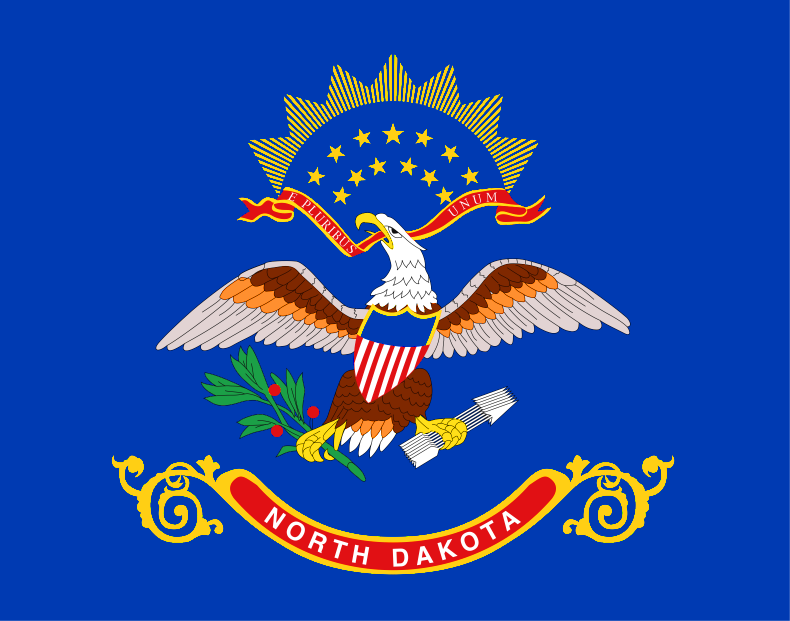Buy North Dakota State Flag Online | Printed & Sewn Flags | 13 sizes
