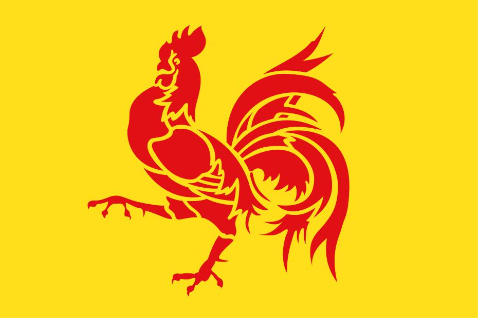 Buy Walloon Region Flag Online | Printed & Sewn Flags | 13 sizes