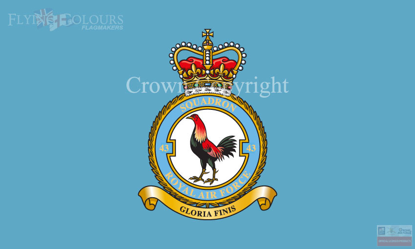 RAF 43 Squadron Flag | Officially Licenced MoD Artwork Flags | Made in ...