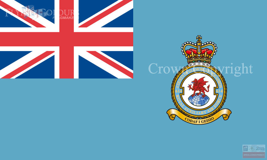 RAF 614 RAuxAF Badge Ensign | Officially Licenced MoD Artwork Flags ...